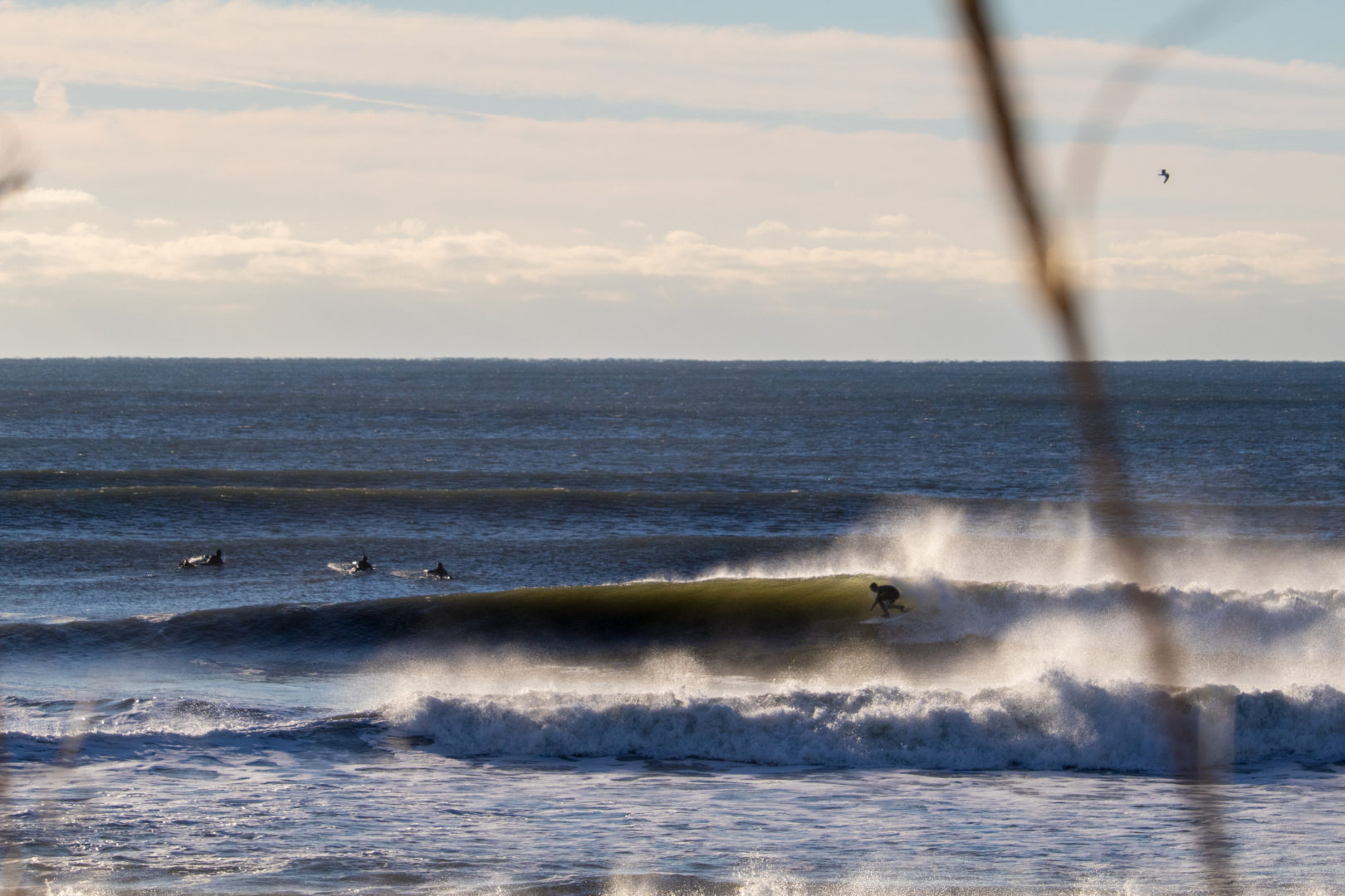 Cold Shot Challenge 2.0 Winter Storm Hunter Recap – NYSEA