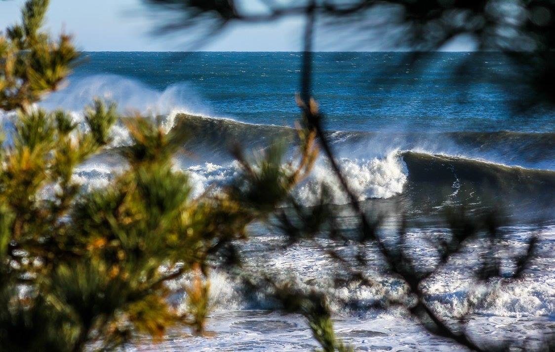 Cold Shot Challenge 2.0 Winter Storm Hunter Recap – NYSEA